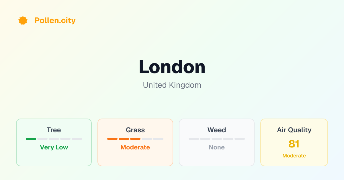 London Pollen Count Today | Pollen.city