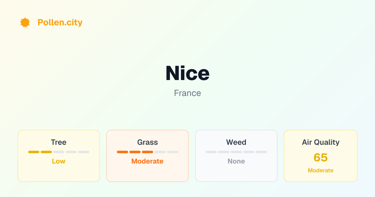 Nice Pollen Count Today | Pollen.city