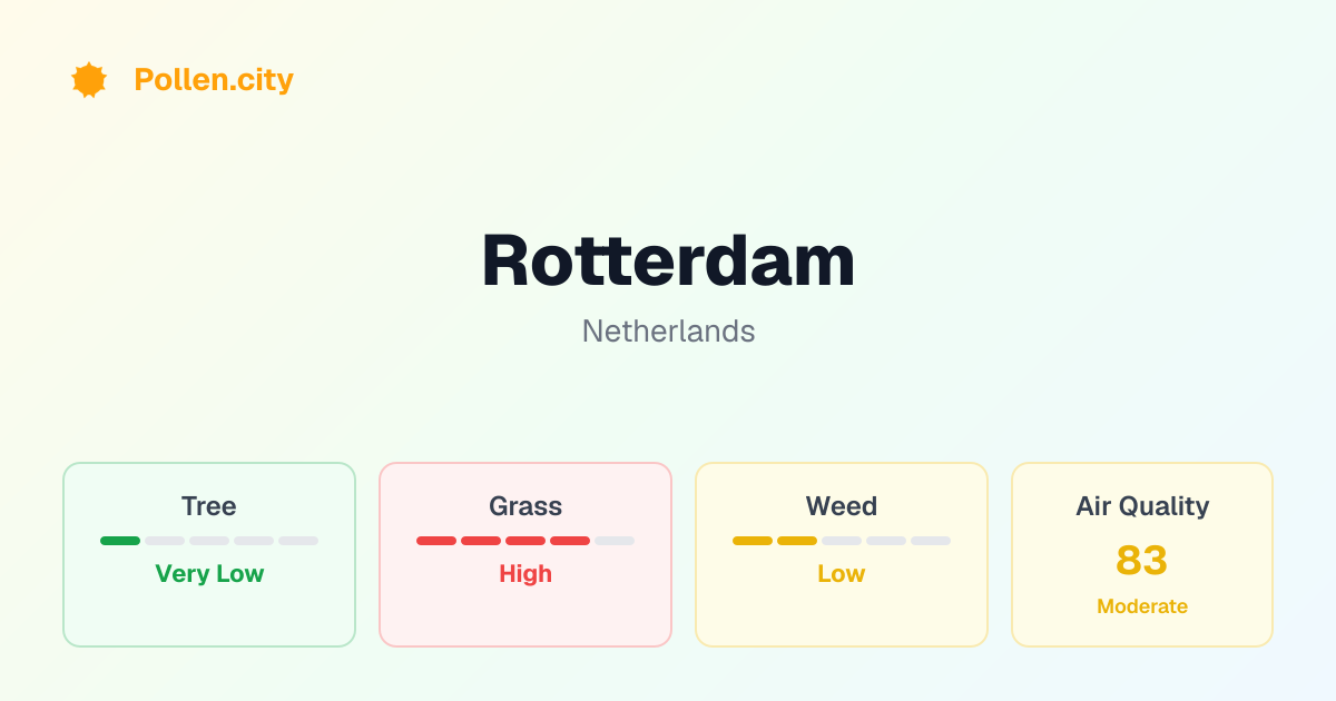 Rotterdam Pollen Count Today | Pollen.city